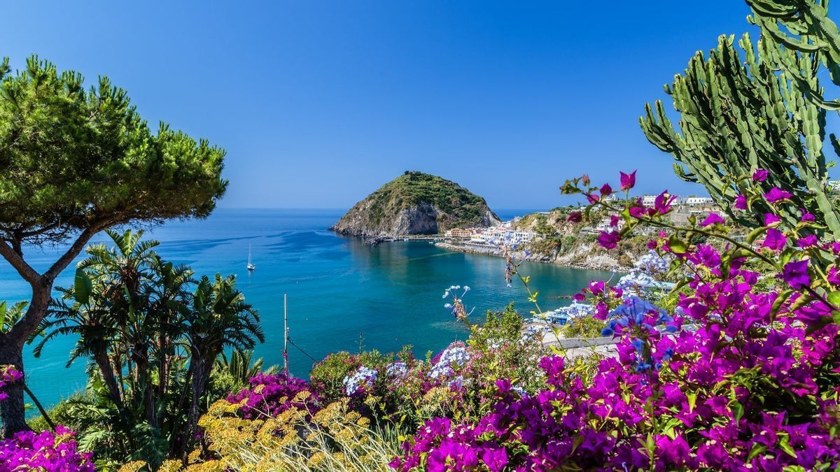 Ischia Travel Guide – Bambina Swim