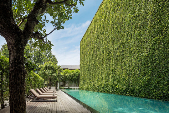 The Thailand Hotel Pool of Our Dreams – Bambina Swim